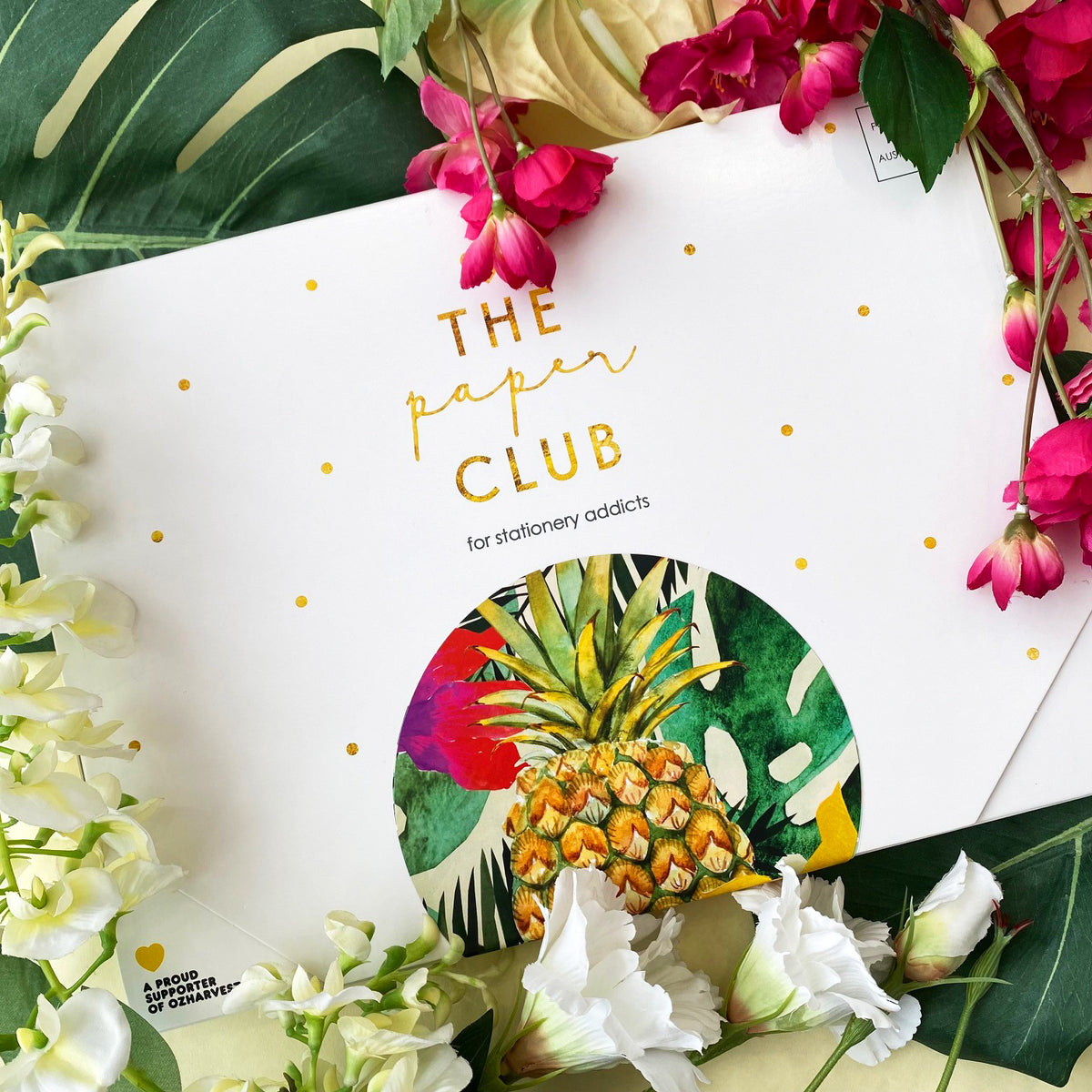Paradise Mystery Box — The Paper Club by CBC